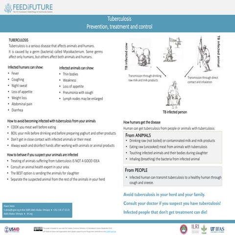 Tuberculosis Prevention, treatment and control | PDF