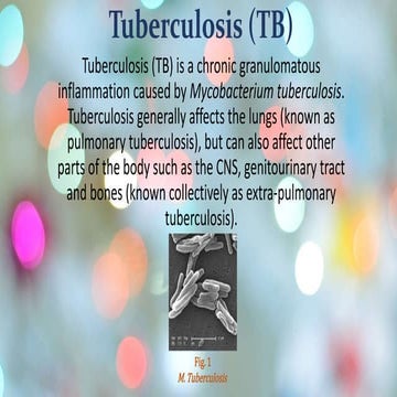 Classification and prophylactics of tuberculosis | PPTX