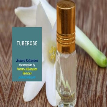 Tuberose extraction | PDF