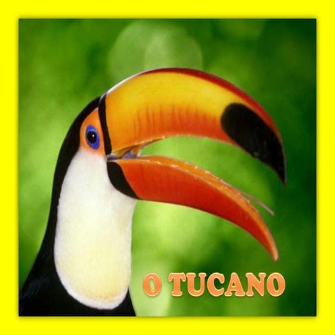 Tucano | PPTX