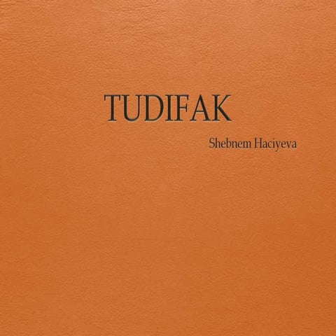 TUDIFAK | PPT