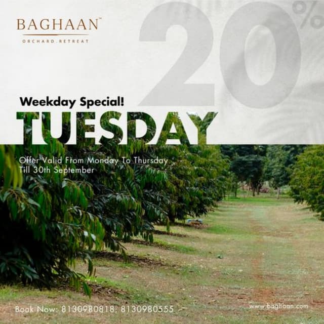 Weekday Special Tuesday! | PDF