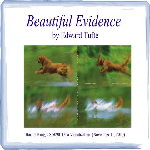 Report on Beautiful Evidence by E. Tufte | PDF