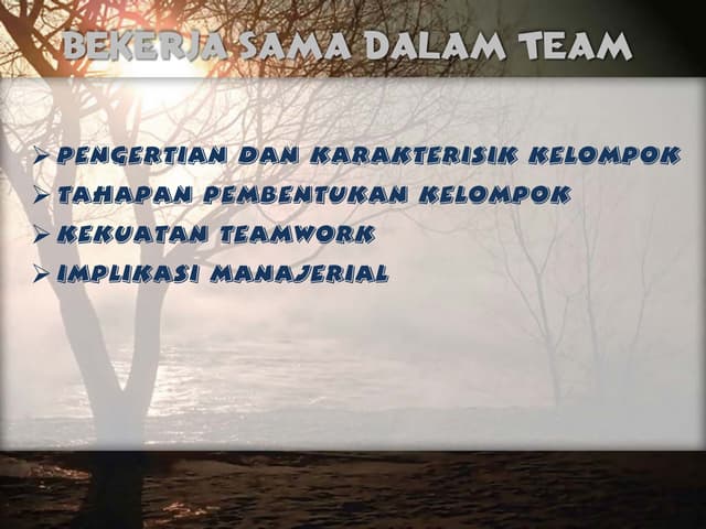 Teamwork dalam organisasi | PDF