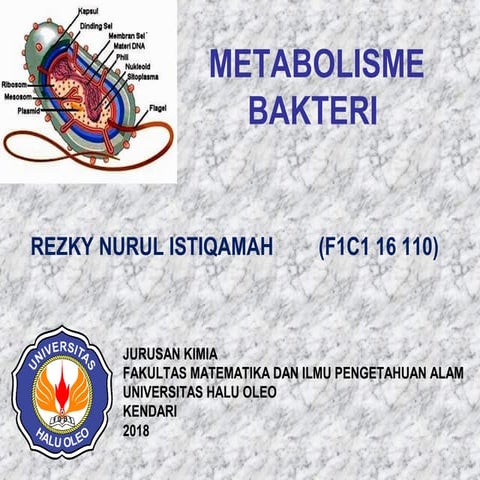 Isolasi dan morfologi koloni bakteri | DOC