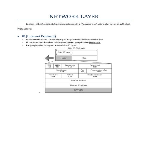 Network Layer | PDF