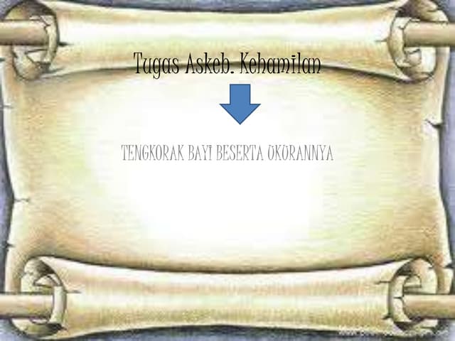 Table jenis-jenis lochea | DOCX