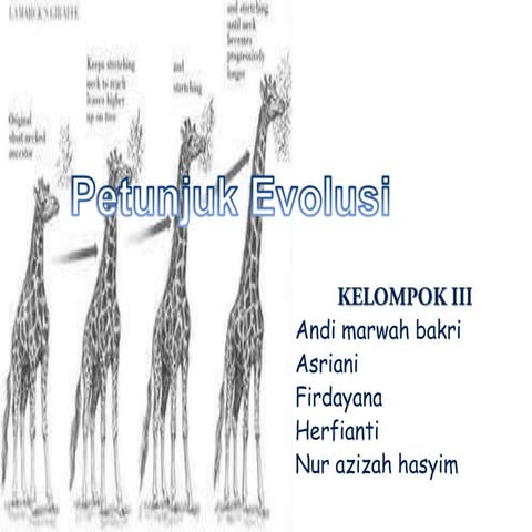 Petunjuk Evolusi | PPTX
