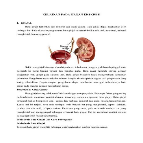 Tugas kelainan pada organ ekskresi | DOCX