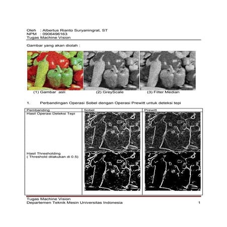 Tugas UTS System Machine Vision | PDF