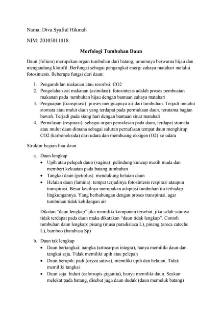 Laporan praktikum 3 tata letak daun rumus daun dan diagram daun ...