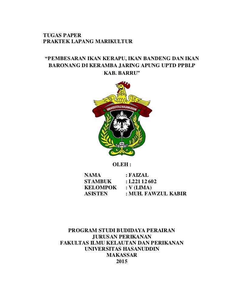 Apa Itu Tugas Paper Dalchaebi