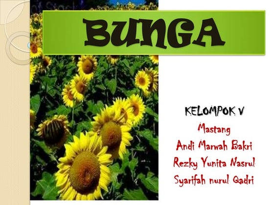Struktur Dan Fungsi Bunga | PPTX