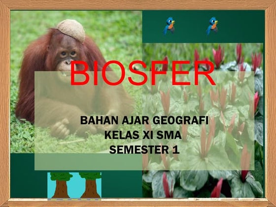 Biosfer | PPTX