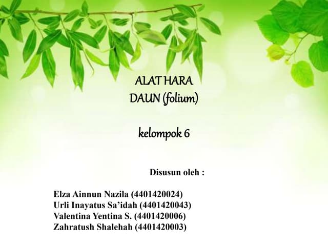 PPT Morfologi Tumbuhan - Tata Letak, Rumus, dan Diagram Daun | PPTX