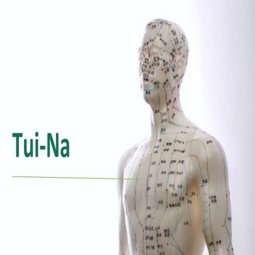 Tuina 1_721d1f81f2ca6661c3f282650de6c0e5.pptx