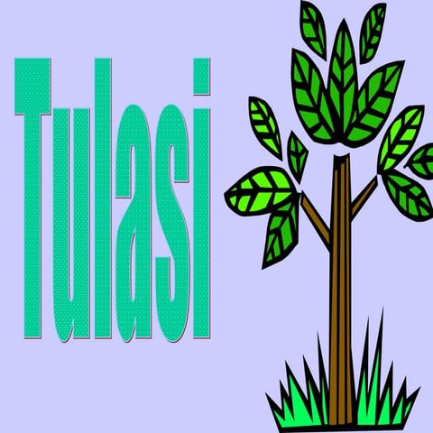Tulasi - The Perennial Health Treasure | PPT
