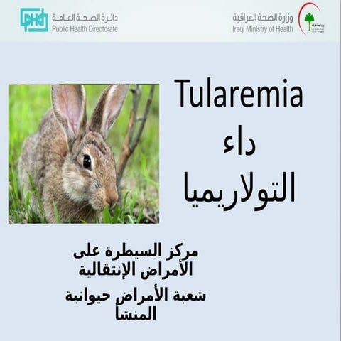 Tularemia: Causes, Symptoms, and Prevention | PPTX