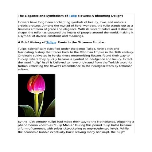 "Blooms of Elegance: Exploring the Timeless Beauty of Tulip Flowers ...
