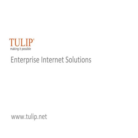Tulip Telecom Internet Ppt | PPT