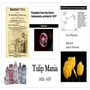 Tulip Mania 1632 to 1637 | PPT