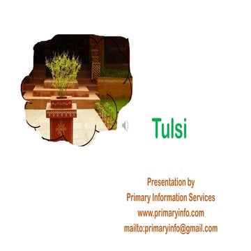Tulsi | PDF