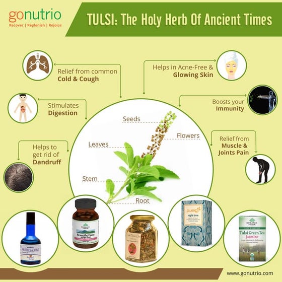 respiratory system - TULSI-( health benefits) | PPT
