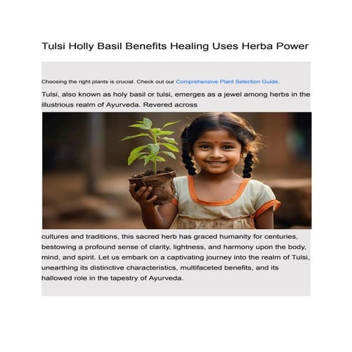 Tulsi Holly Basil Benefits Healing Uses Herba Power.pdf
