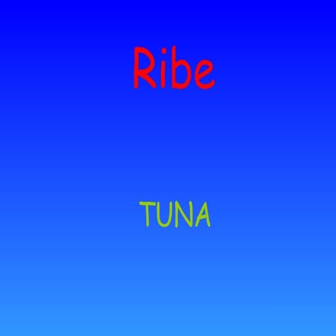 Tuna | PPT