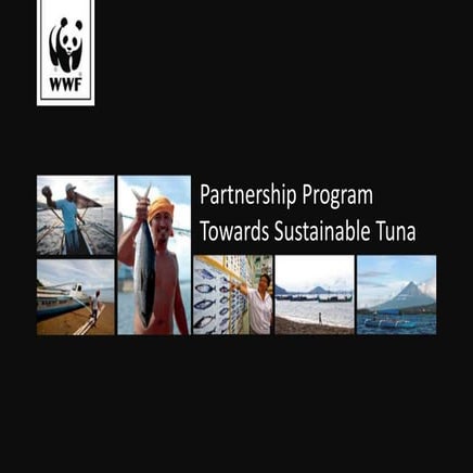 Partnership Program Towards Sustainable Tuna | PPT