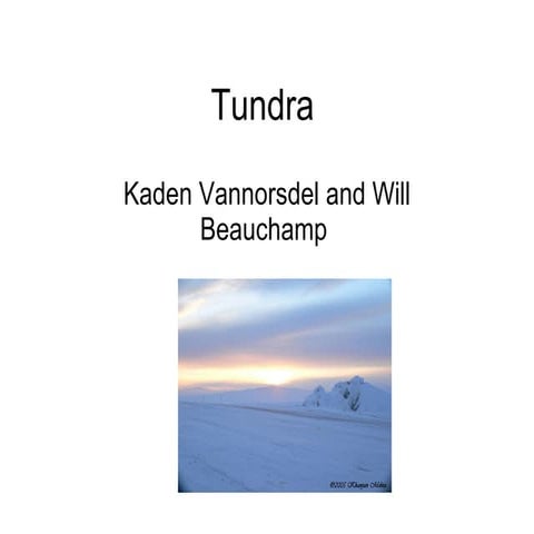 Tundra | PPT