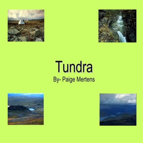Tundra | PPT