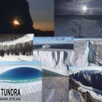 Biome Tundra | PPTX | Polar Travel | Travel Locations