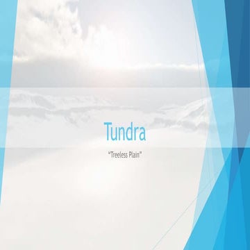 Tundra | PPTX