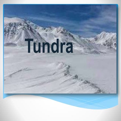 TUNDRA.pptx