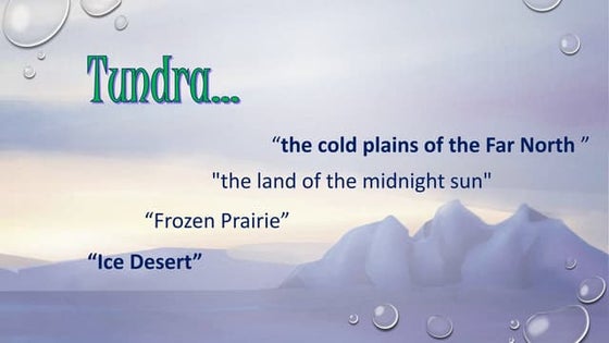 Tundra Land Biome Description And Characteristics Tundra Ecosystem