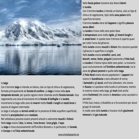 Tundra e Taiga | PDF