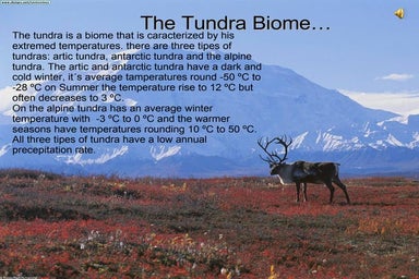 Tundra Science Definition