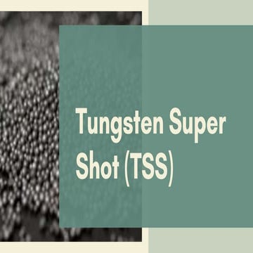 Tungsten Alloy Super Shot (TSS) Supplier Agescan International | PPTX