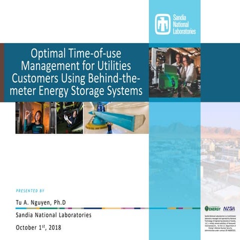 Optimal Time-of-use Management for Utility Customers Using Behind-the-meter Energy Storage ...