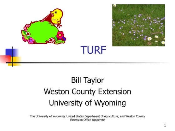 STEPS IN ESTABLISHMENT OF TURF GRASS | PPTX | Gardening | Home & Garden