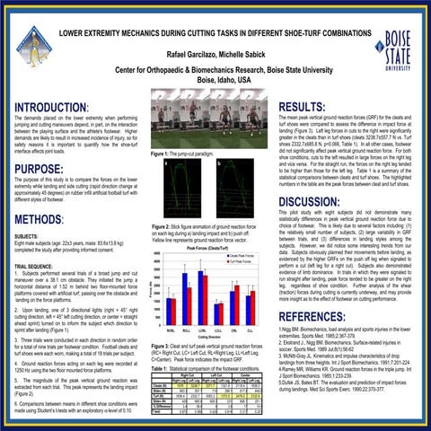 Turf Cleats Poster Ver2[1] | PPT