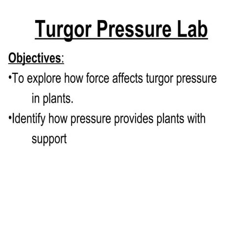 Turgor pressure lab | PPT