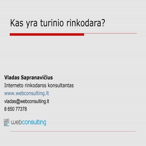 Skaitmenine rinkodara | DOCX