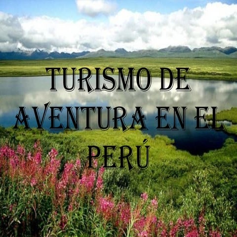 Entrevista a Percy Tapia | PDF