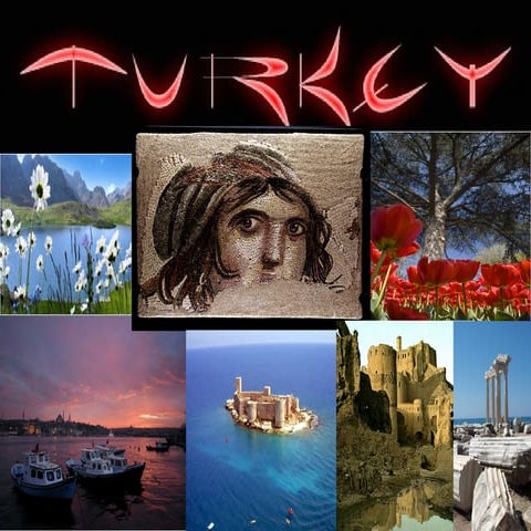Turkey | PPT