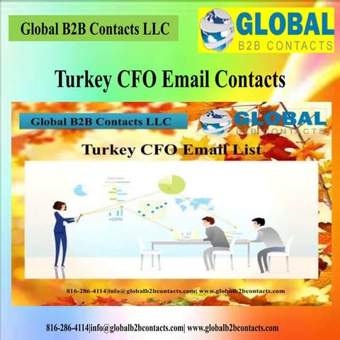 Turkey cfo email contacts | PPT