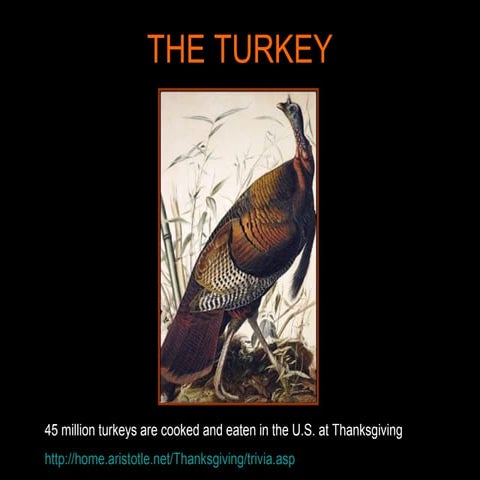 Turkeys 2 | PPT