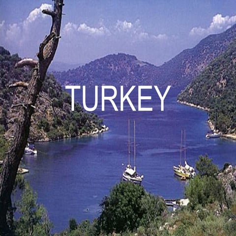 Turkey Slide Show Finale | PPT