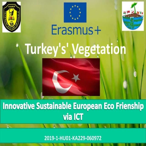 Turkey's' vegetation | PPT